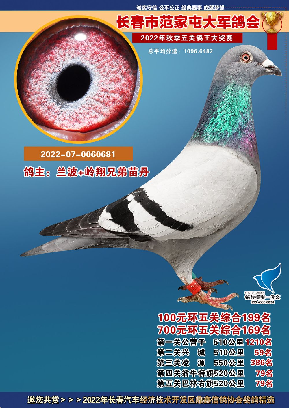 信鸽在线拍卖平台 - 中国信鸽信息网