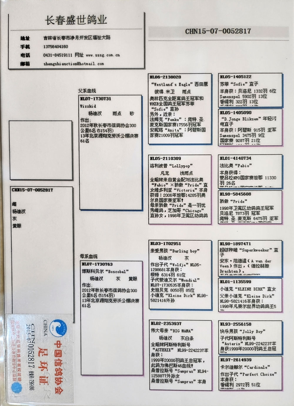 信鸽在线拍卖平台 - 中国信鸽信息网