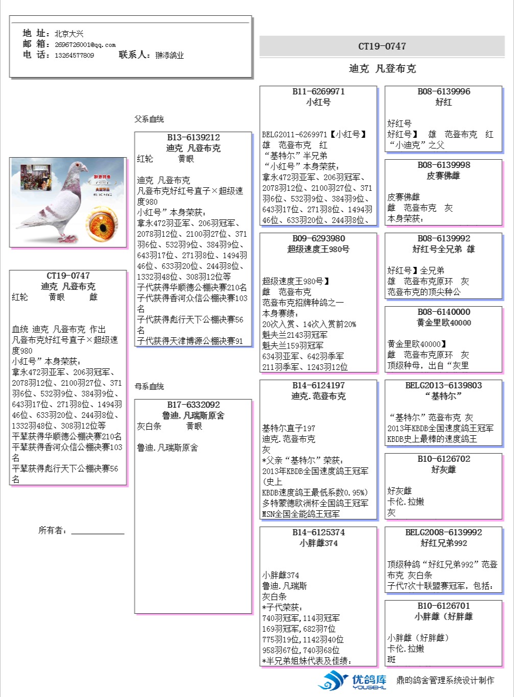 信鸽在线拍卖平台 - 中国信鸽信息网