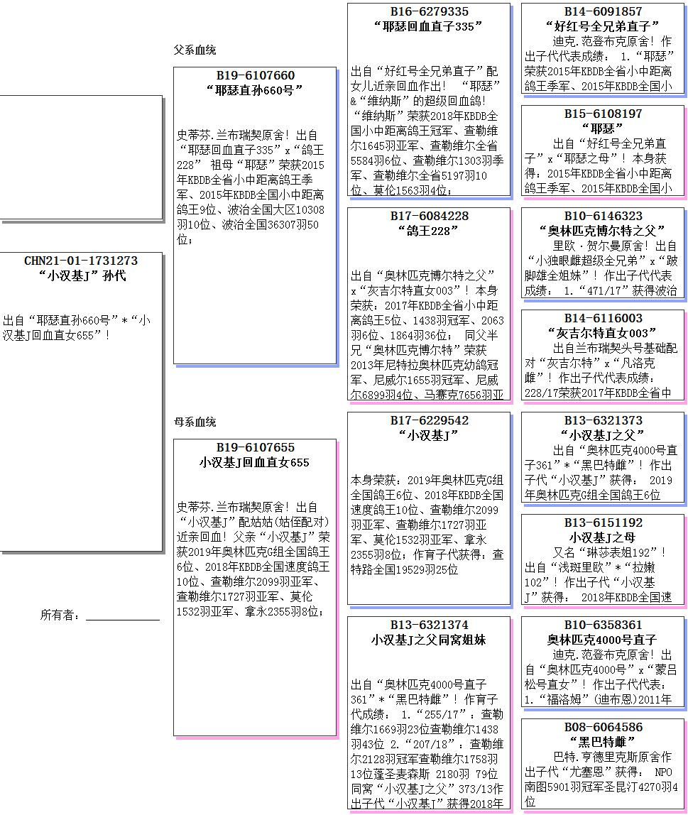 信鸽在线拍卖平台 - 中国信鸽信息网