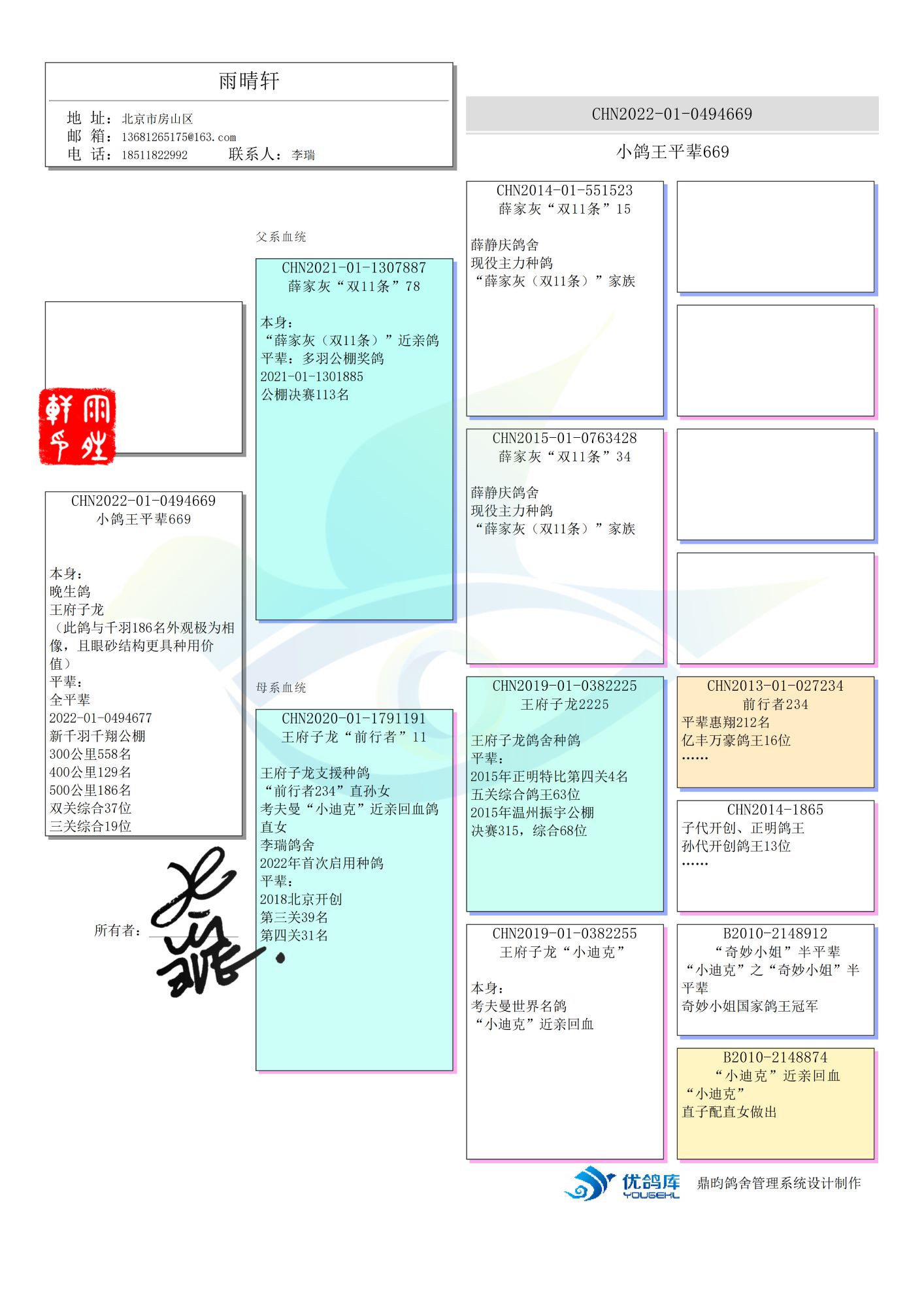 信鸽在线拍卖平台 - 中国信鸽信息网