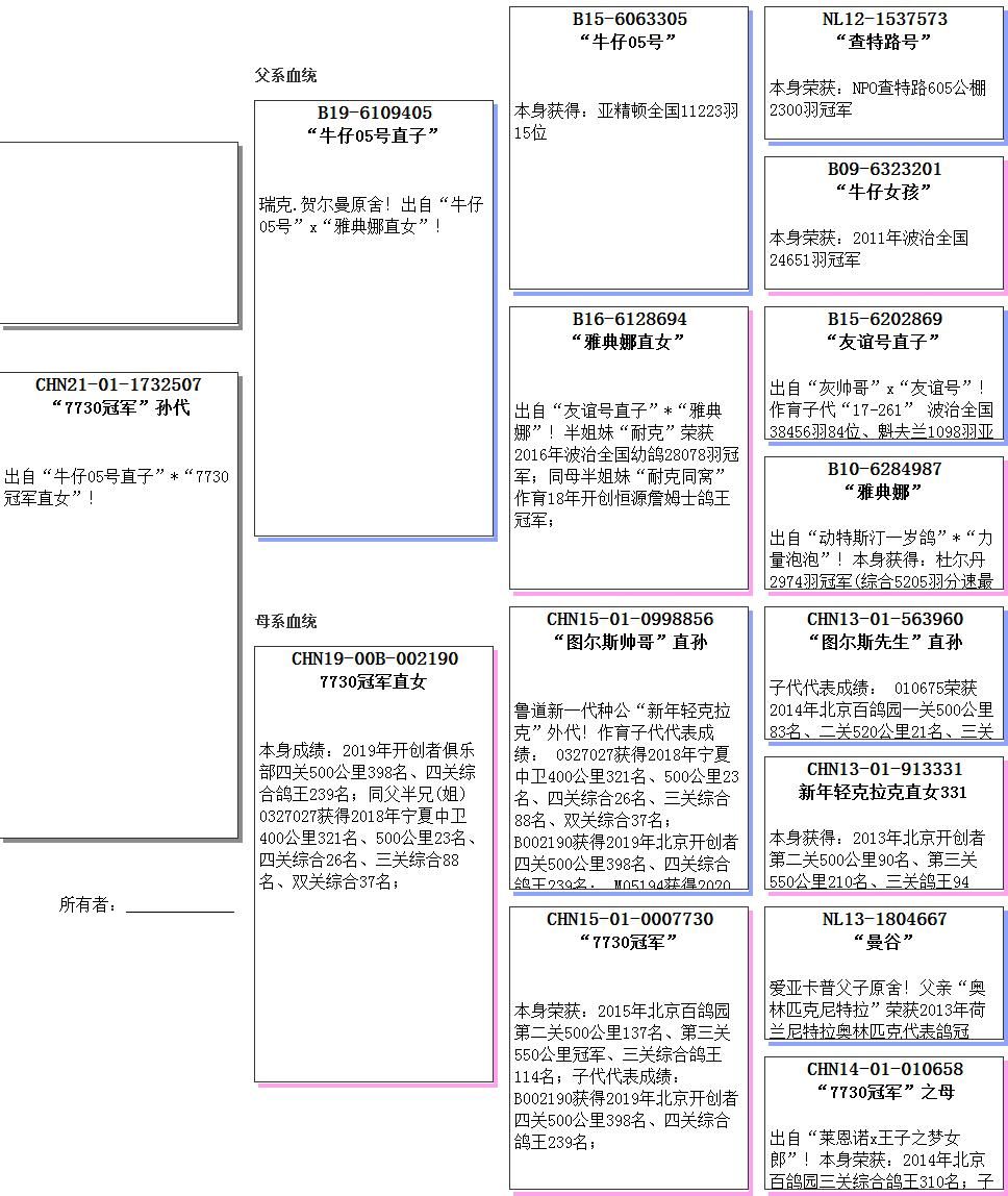 信鸽在线拍卖平台 - 中国信鸽信息网