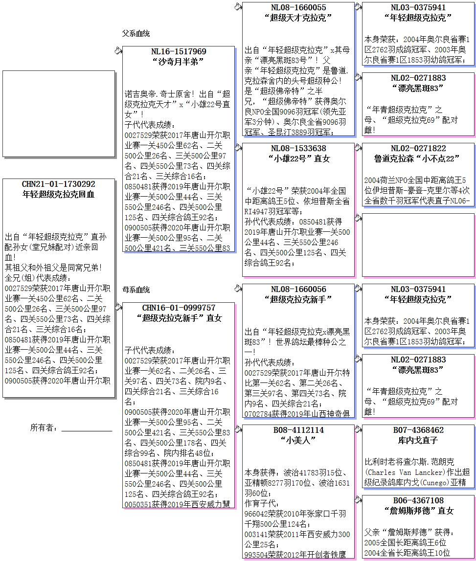 信鸽在线拍卖平台 - 中国信鸽信息网