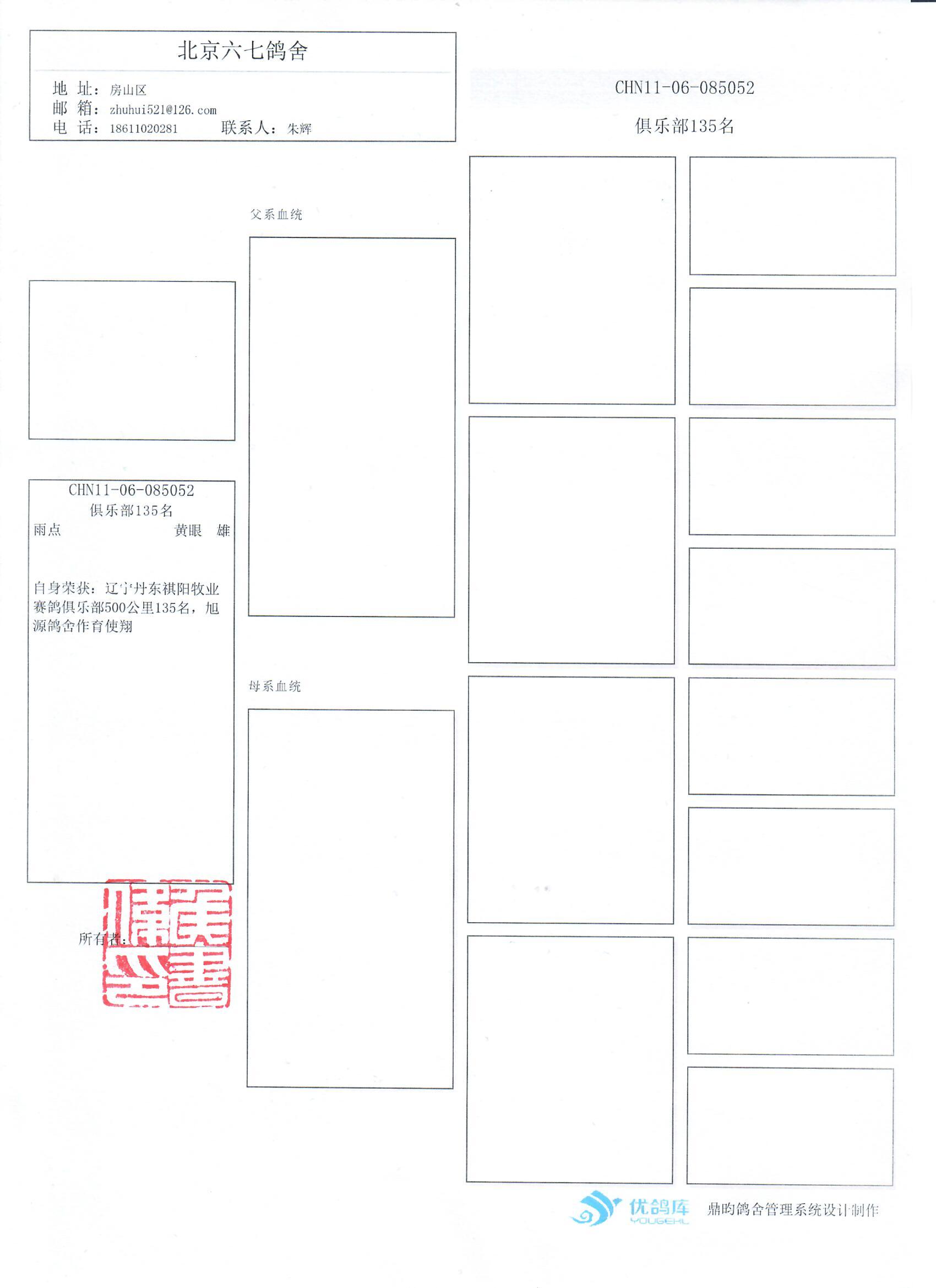 信鸽在线拍卖平台 - 中国信鸽信息网