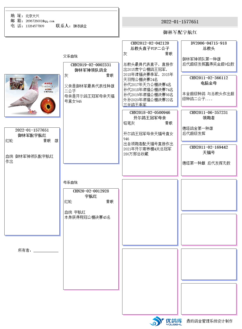 信鸽在线拍卖平台 - 中国信鸽信息网
