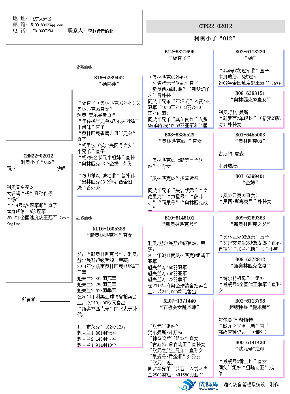 信鸽在线拍卖平台 - 中国信鸽信息网