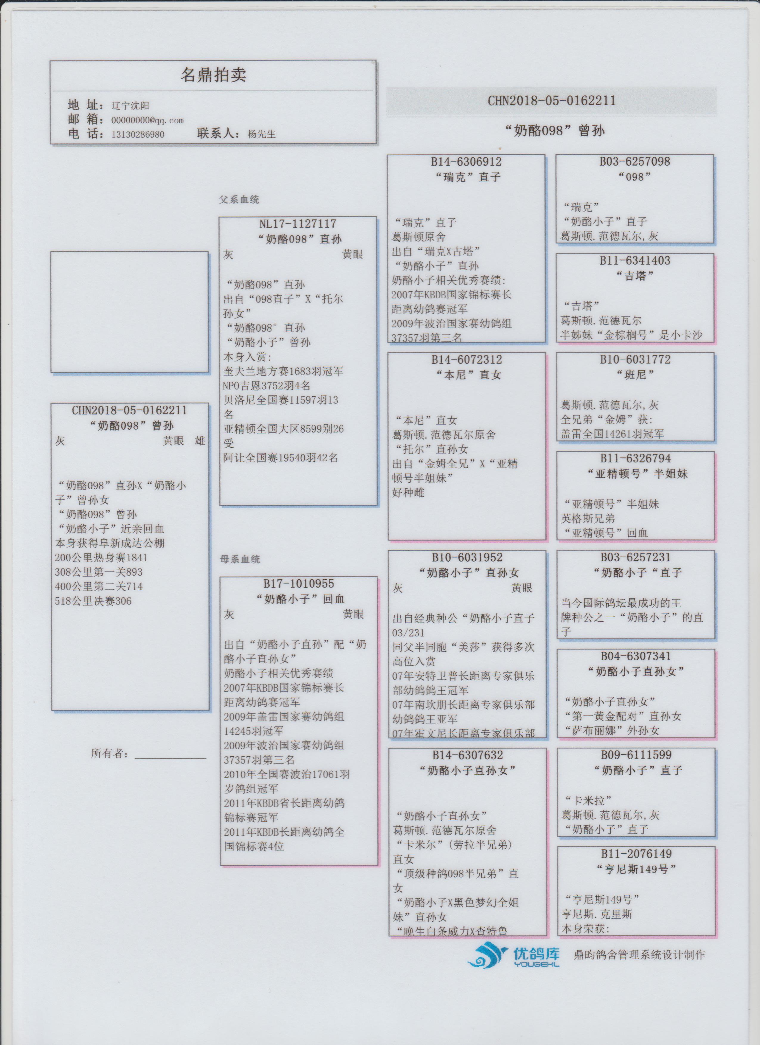 信鸽在线拍卖平台 - 中国信鸽信息网