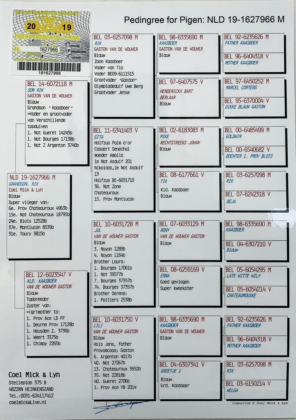 信鸽在线拍卖平台 - 中国信鸽信息网