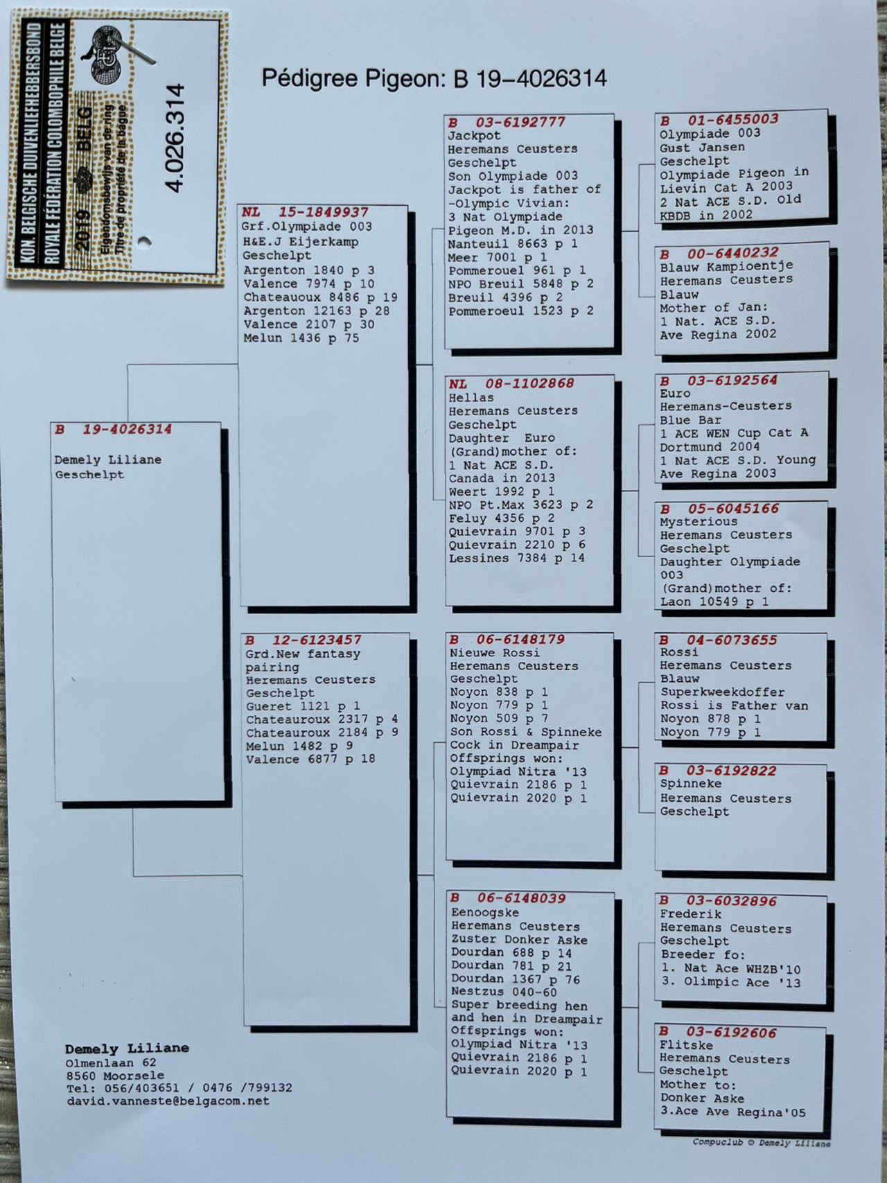 信鸽在线拍卖平台 - 中国信鸽信息网