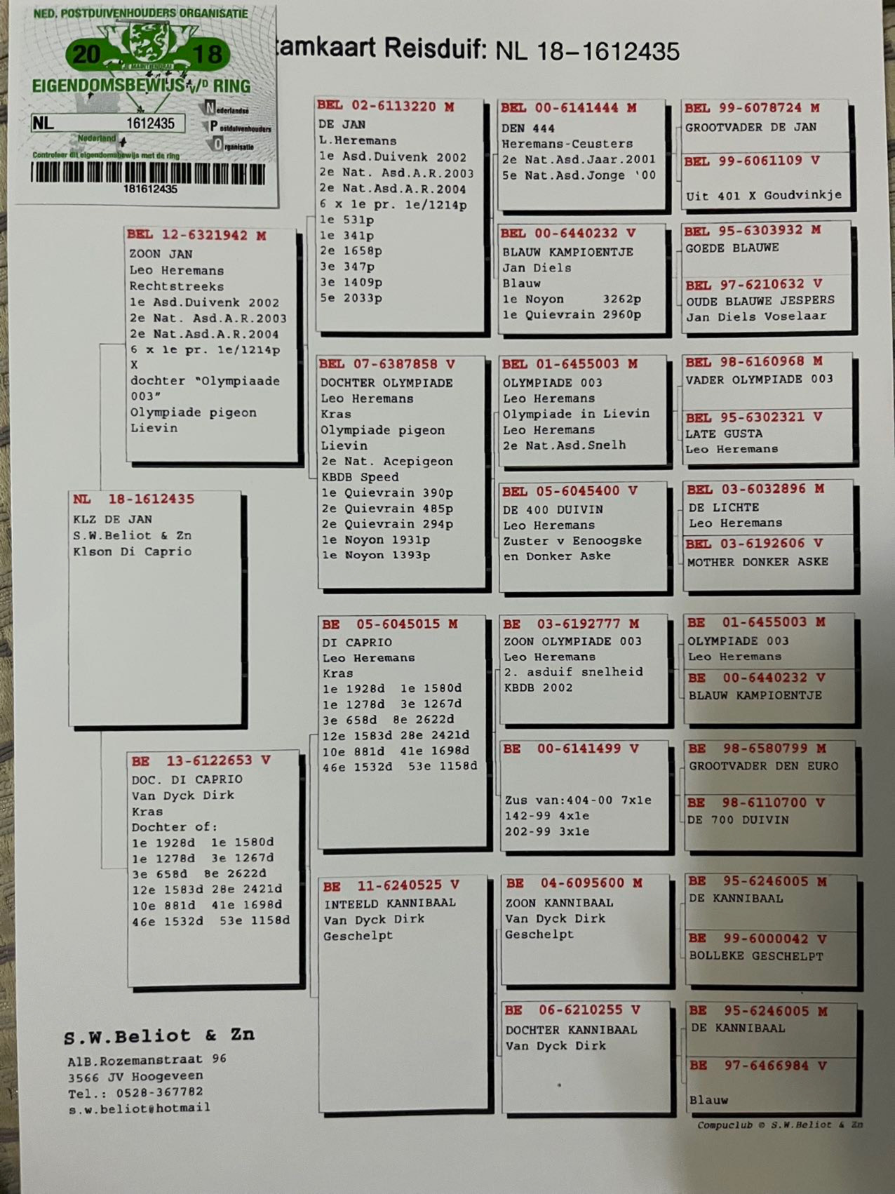 信鸽在线拍卖平台 - 中国信鸽信息网