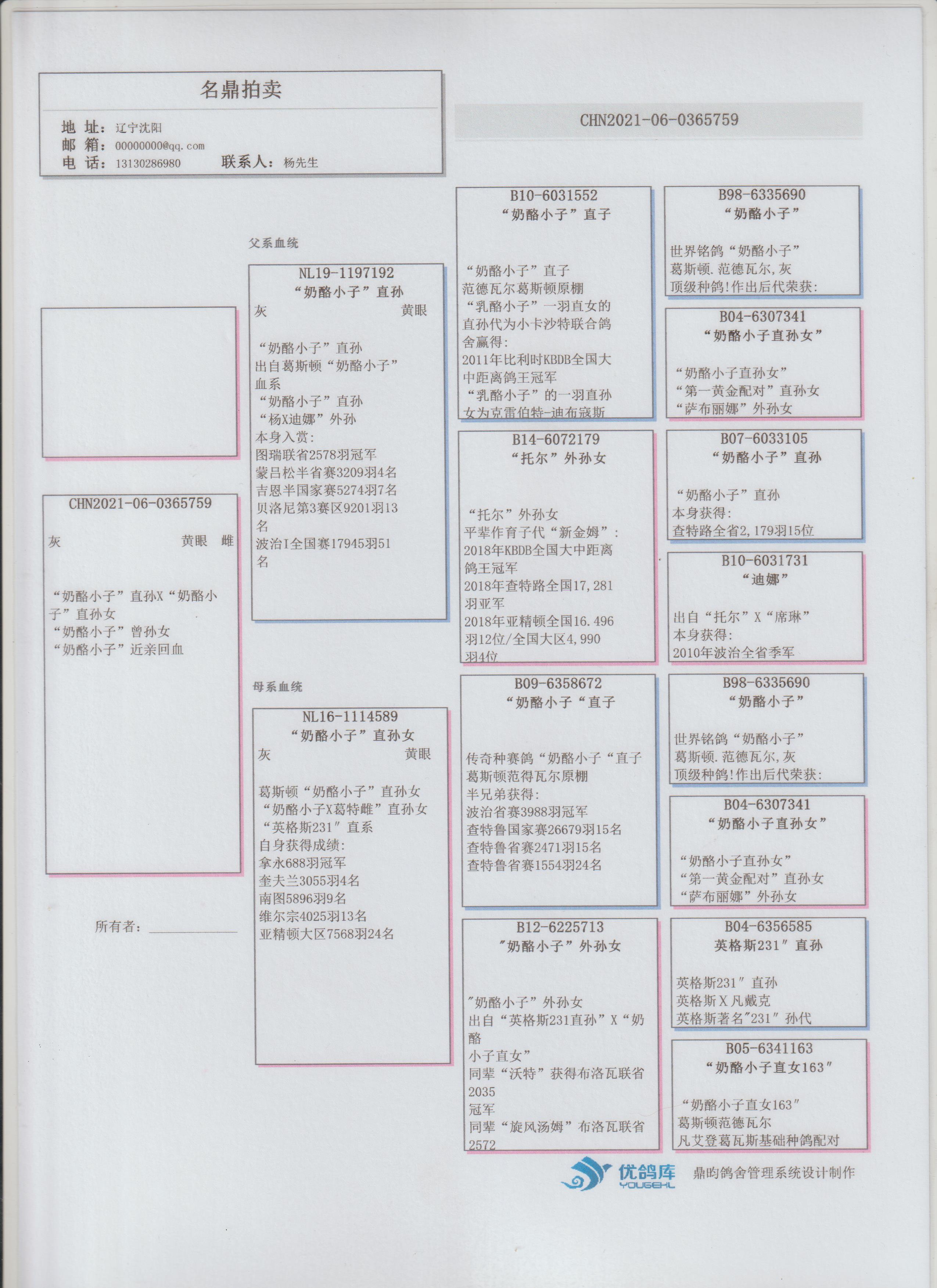 信鸽在线拍卖平台 - 中国信鸽信息网