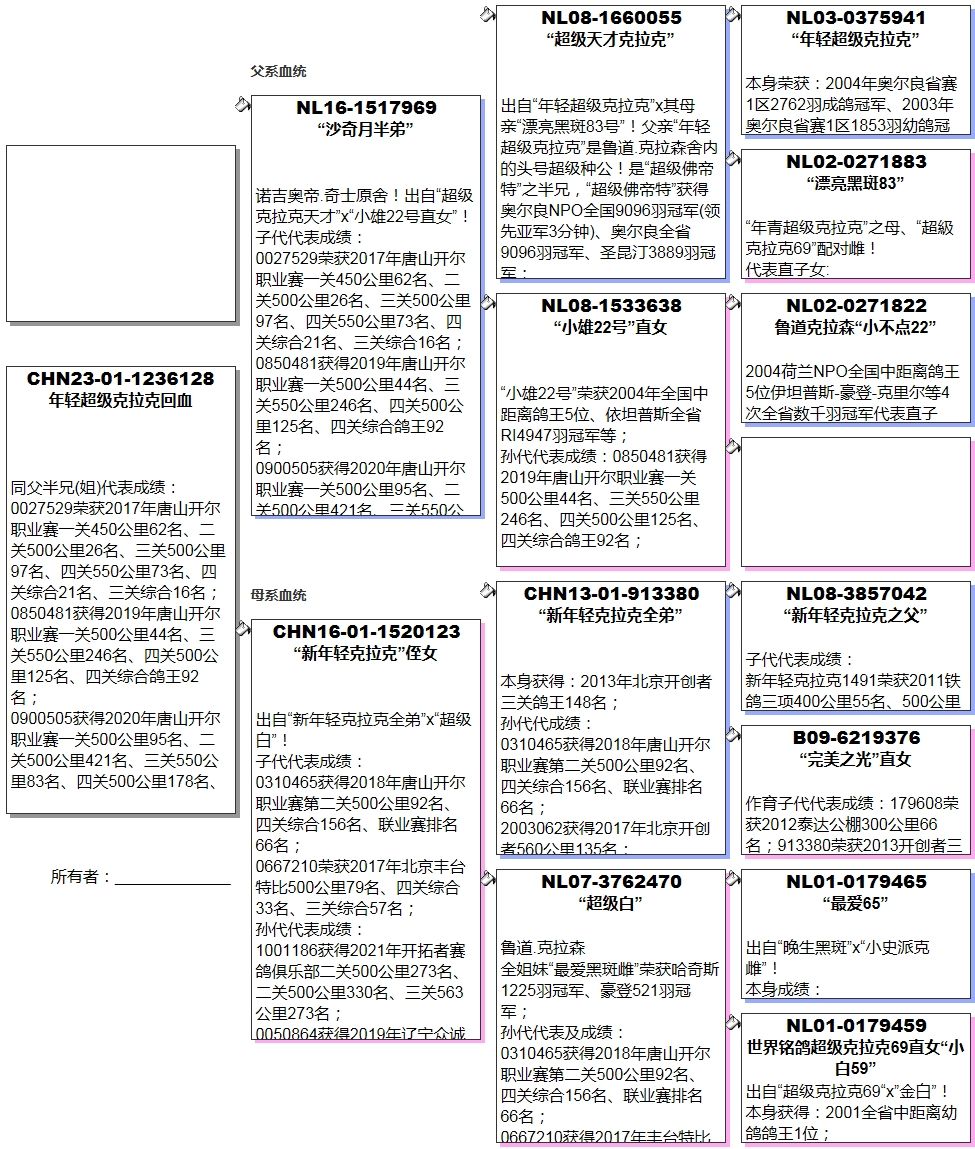 信鸽在线拍卖平台 - 中国信鸽信息网