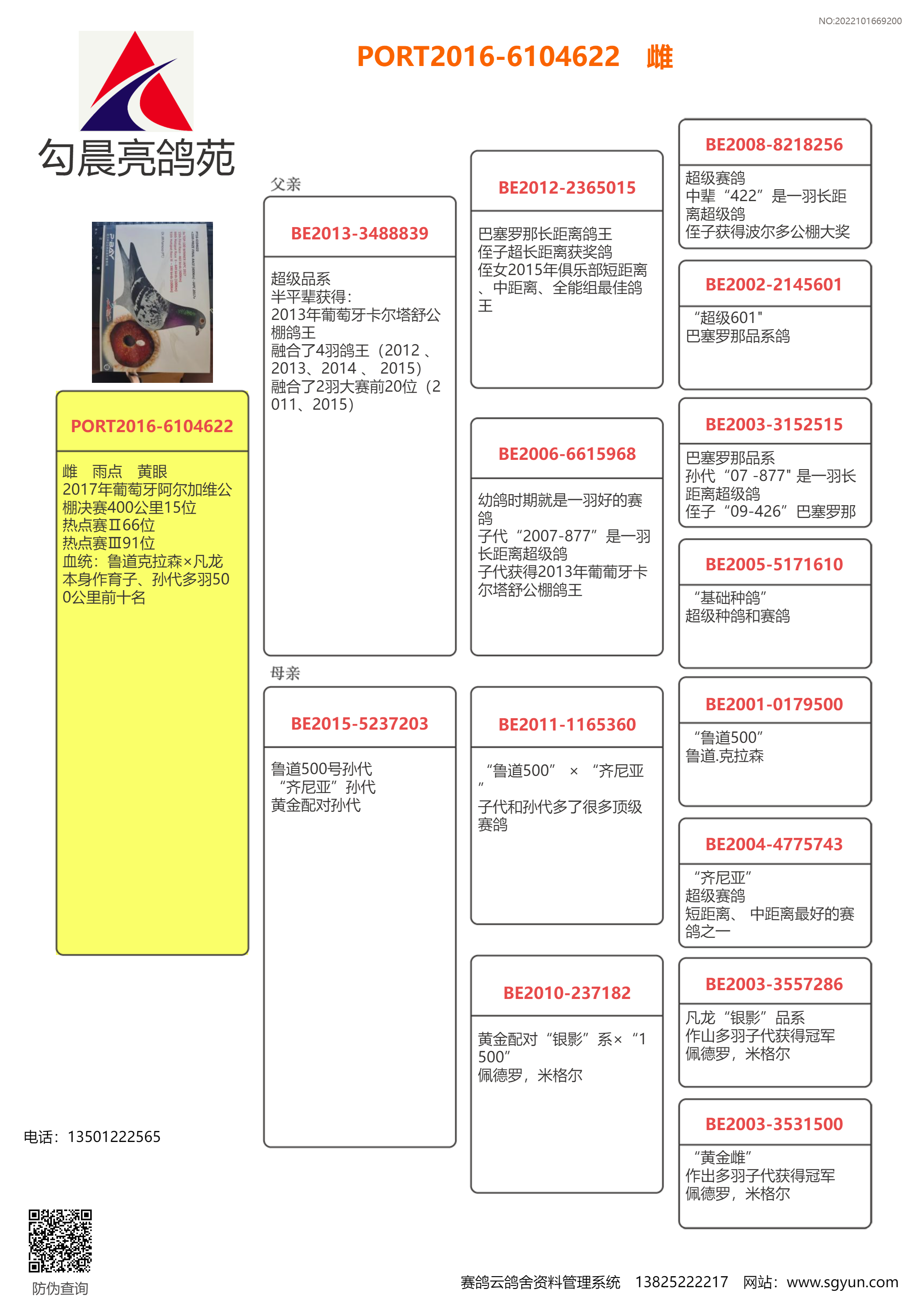 信鸽在线拍卖平台 - 中国信鸽信息网