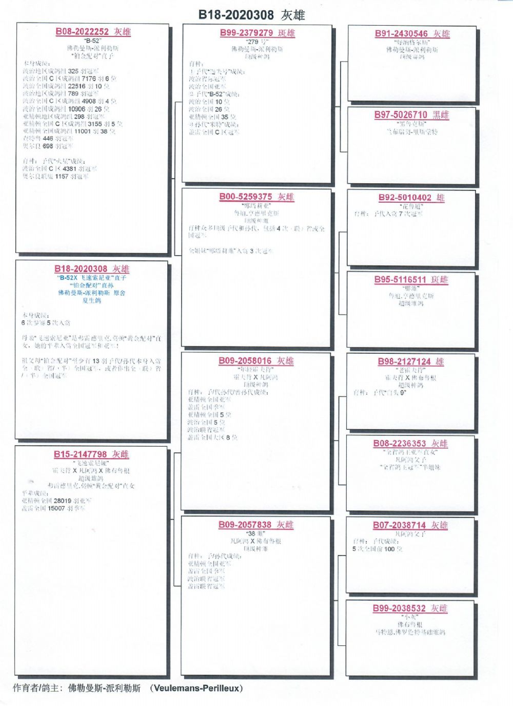 信鸽在线拍卖平台 - 中国信鸽信息网