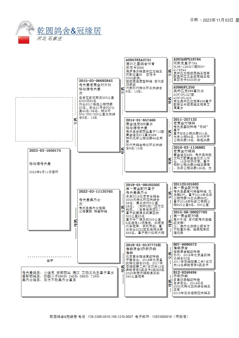 信鸽在线拍卖平台 - 中国信鸽信息网