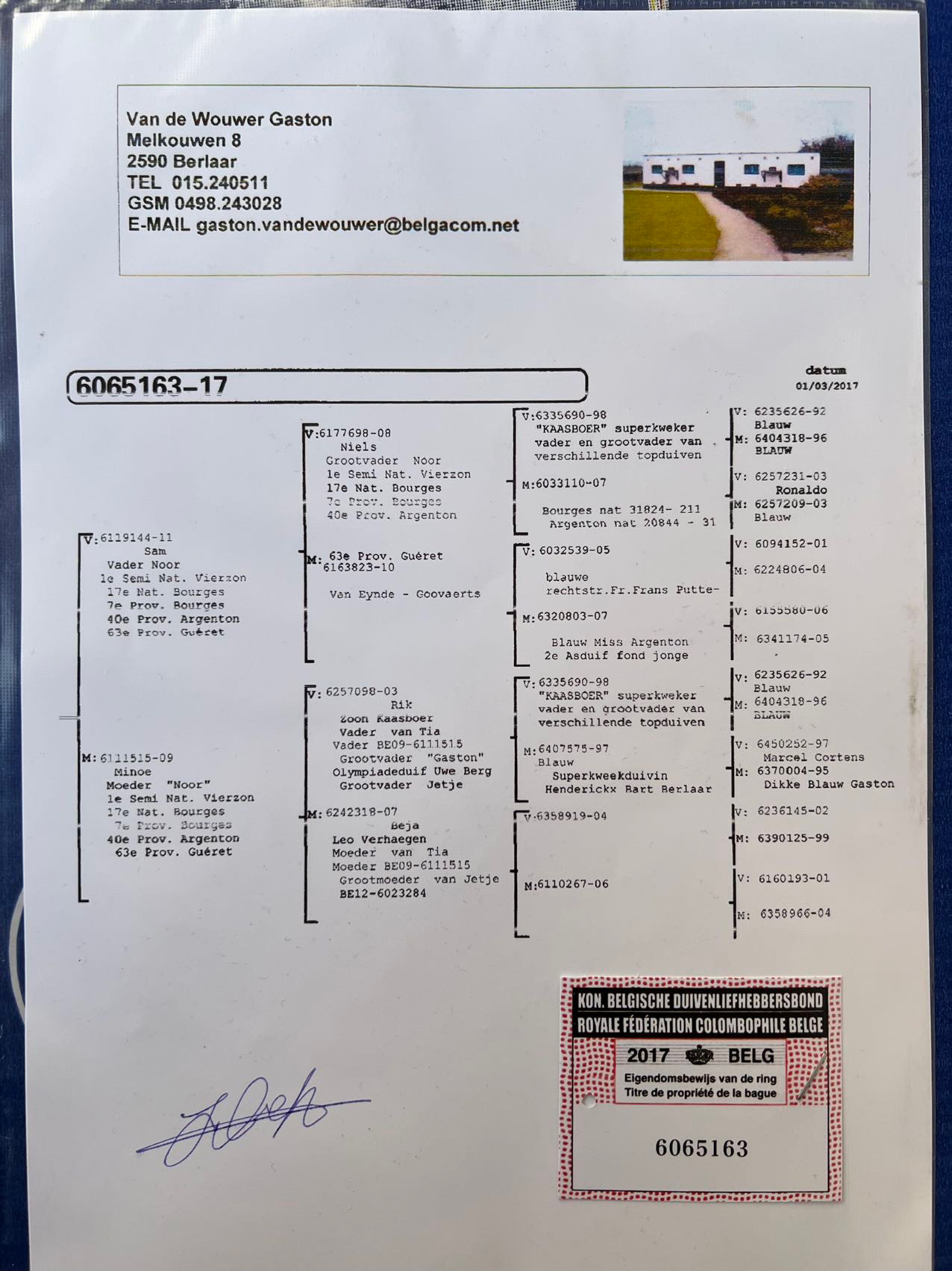 信鸽在线拍卖平台 - 中国信鸽信息网