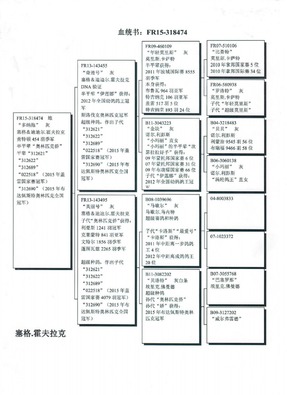 信鸽在线拍卖平台 - 中国信鸽信息网