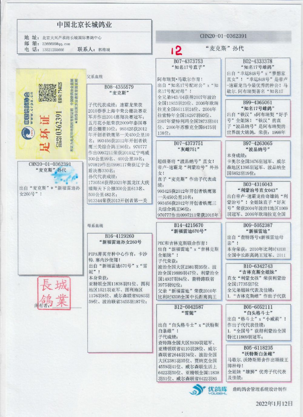 信鸽在线拍卖平台 - 中国信鸽信息网