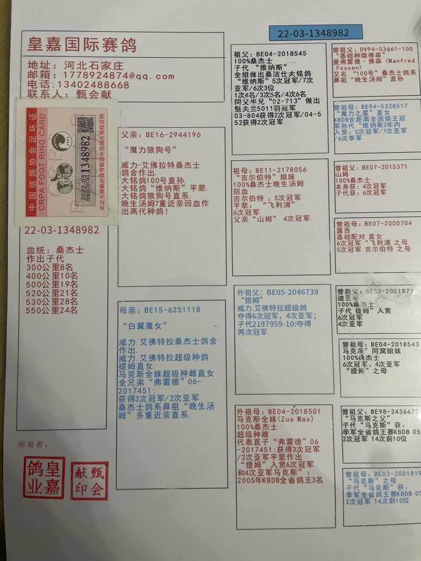 信鸽在线拍卖平台 - 中国信鸽信息网