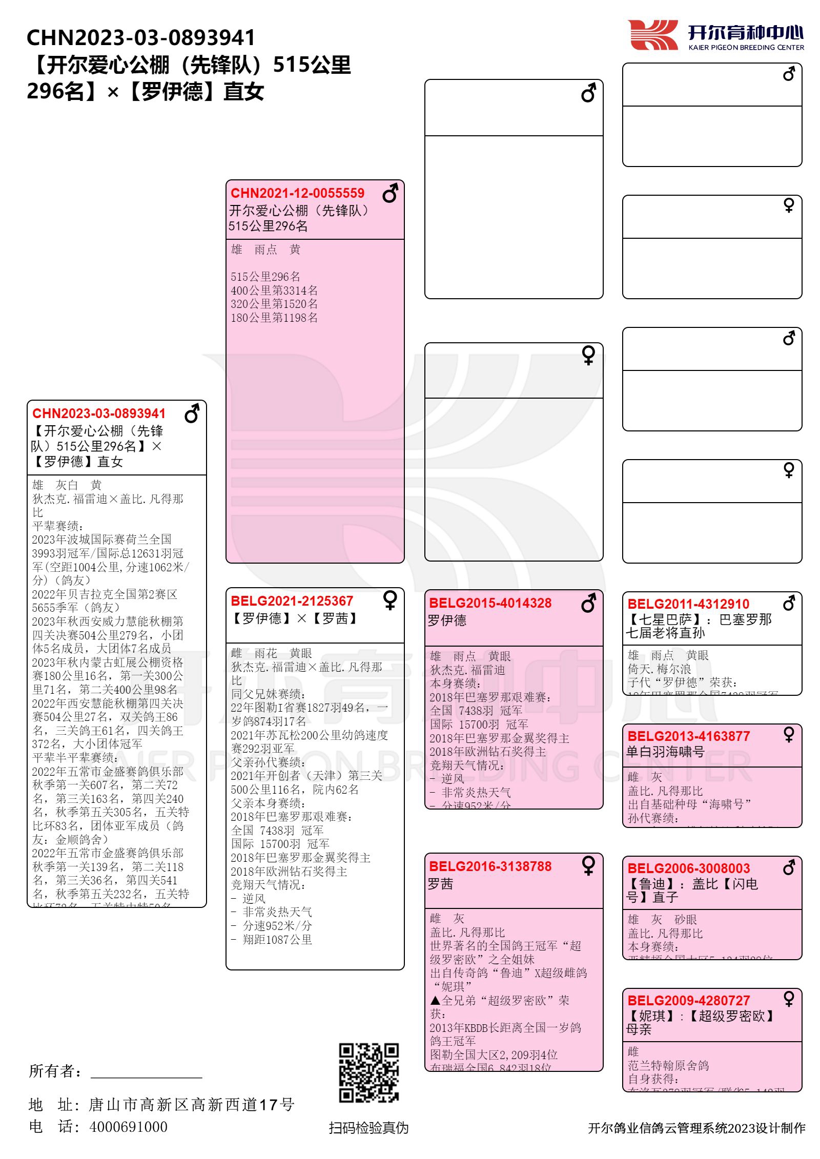 信鸽在线拍卖平台 - 中国信鸽信息网