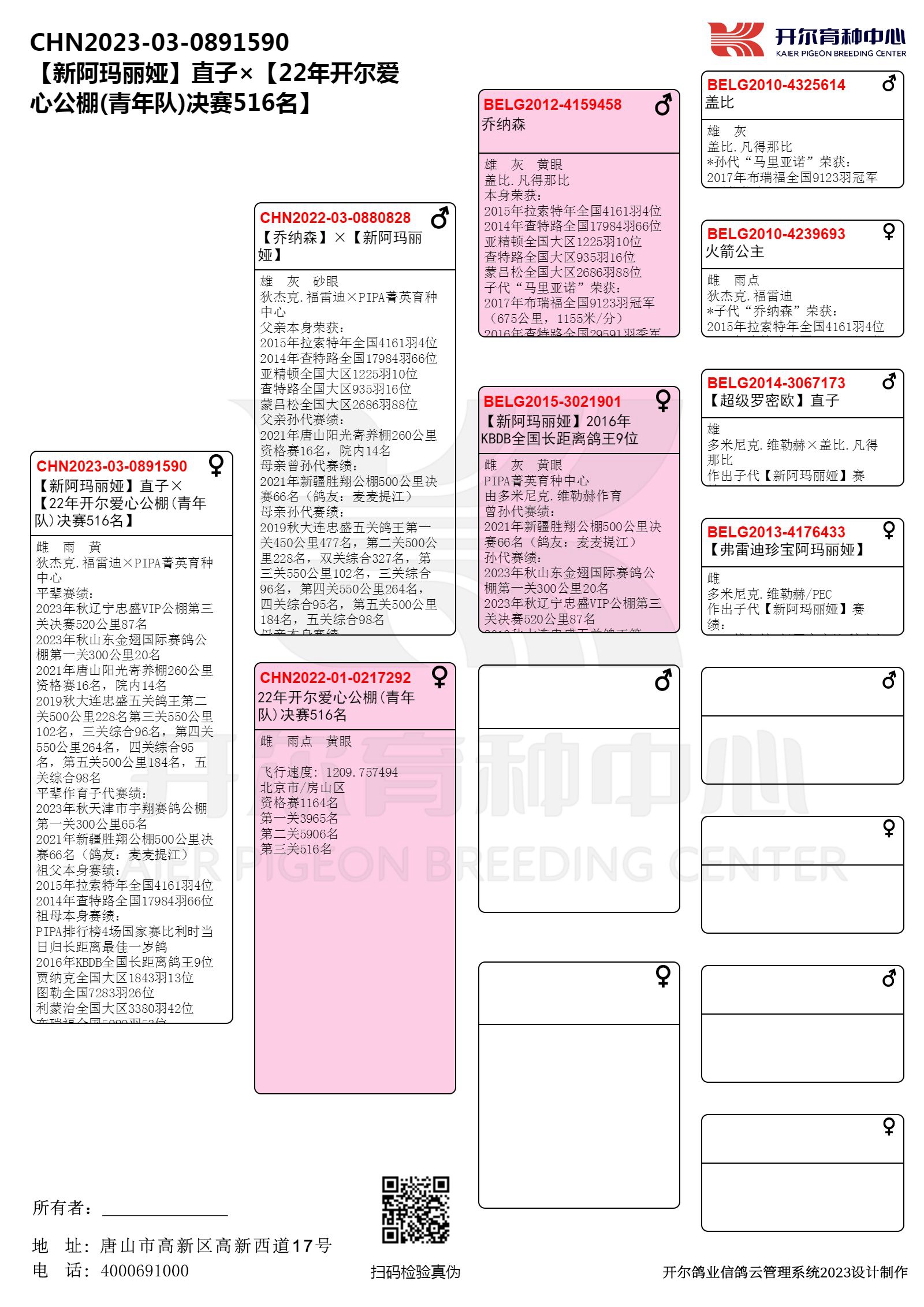 信鸽在线拍卖平台 - 中国信鸽信息网