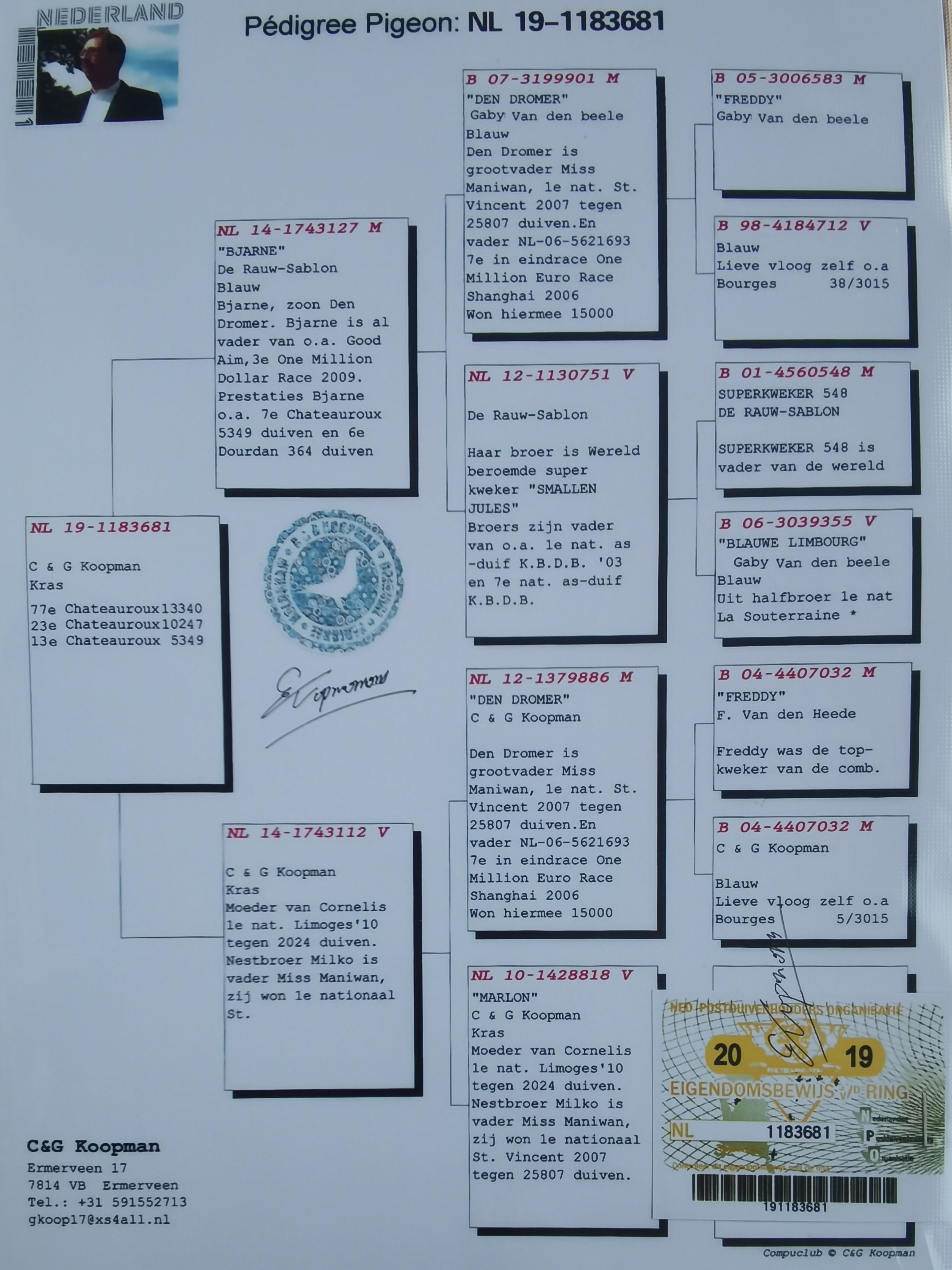 信鸽在线拍卖平台 - 中国信鸽信息网