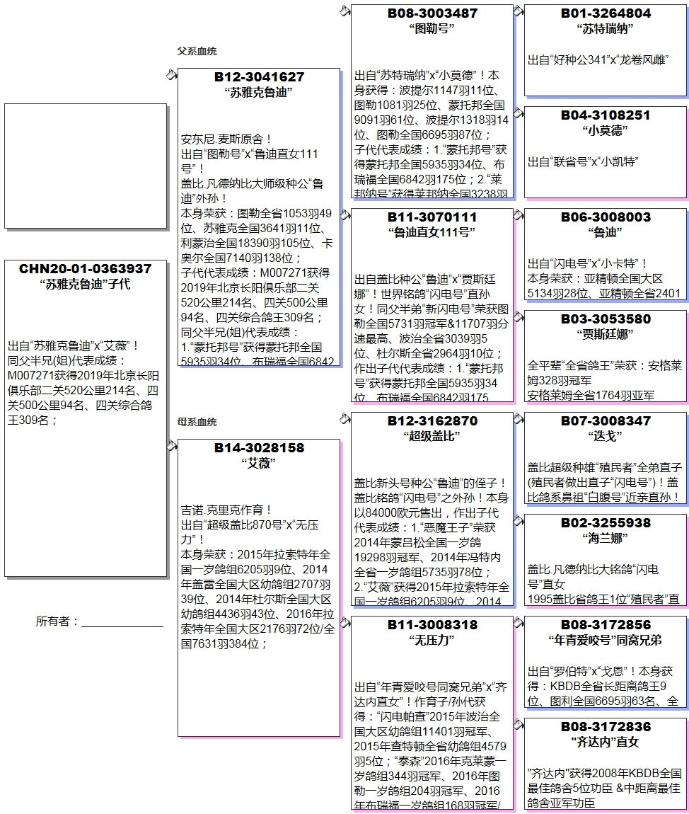 信鸽在线拍卖平台 - 中国信鸽信息网