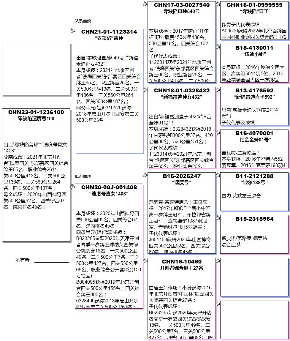 信鸽在线拍卖平台 - 中国信鸽信息网