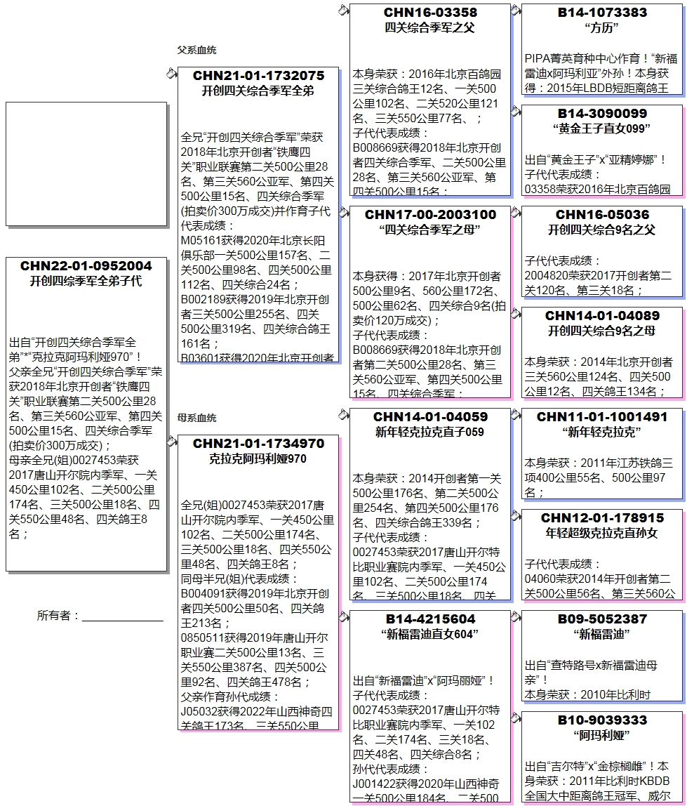 信鸽在线拍卖平台 - 中国信鸽信息网