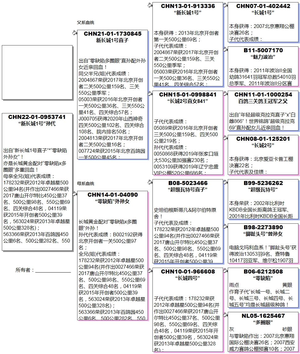 信鸽在线拍卖平台 - 中国信鸽信息网