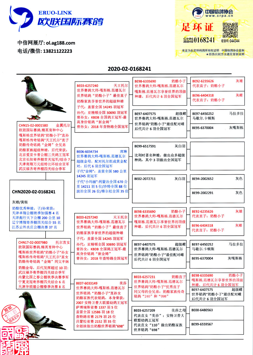 信鸽在线拍卖平台 - 中国信鸽信息网