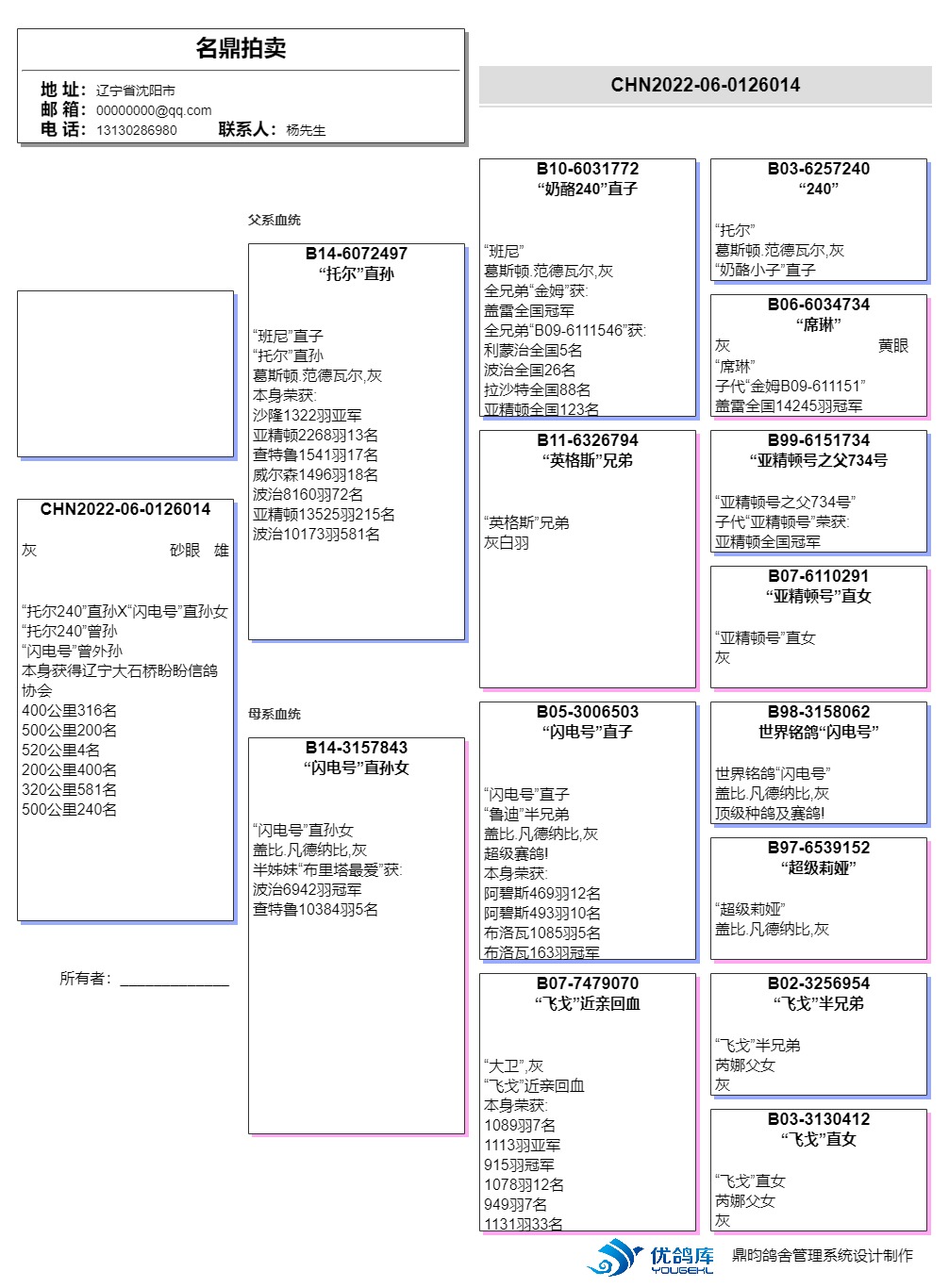 信鸽在线拍卖平台 - 中国信鸽信息网