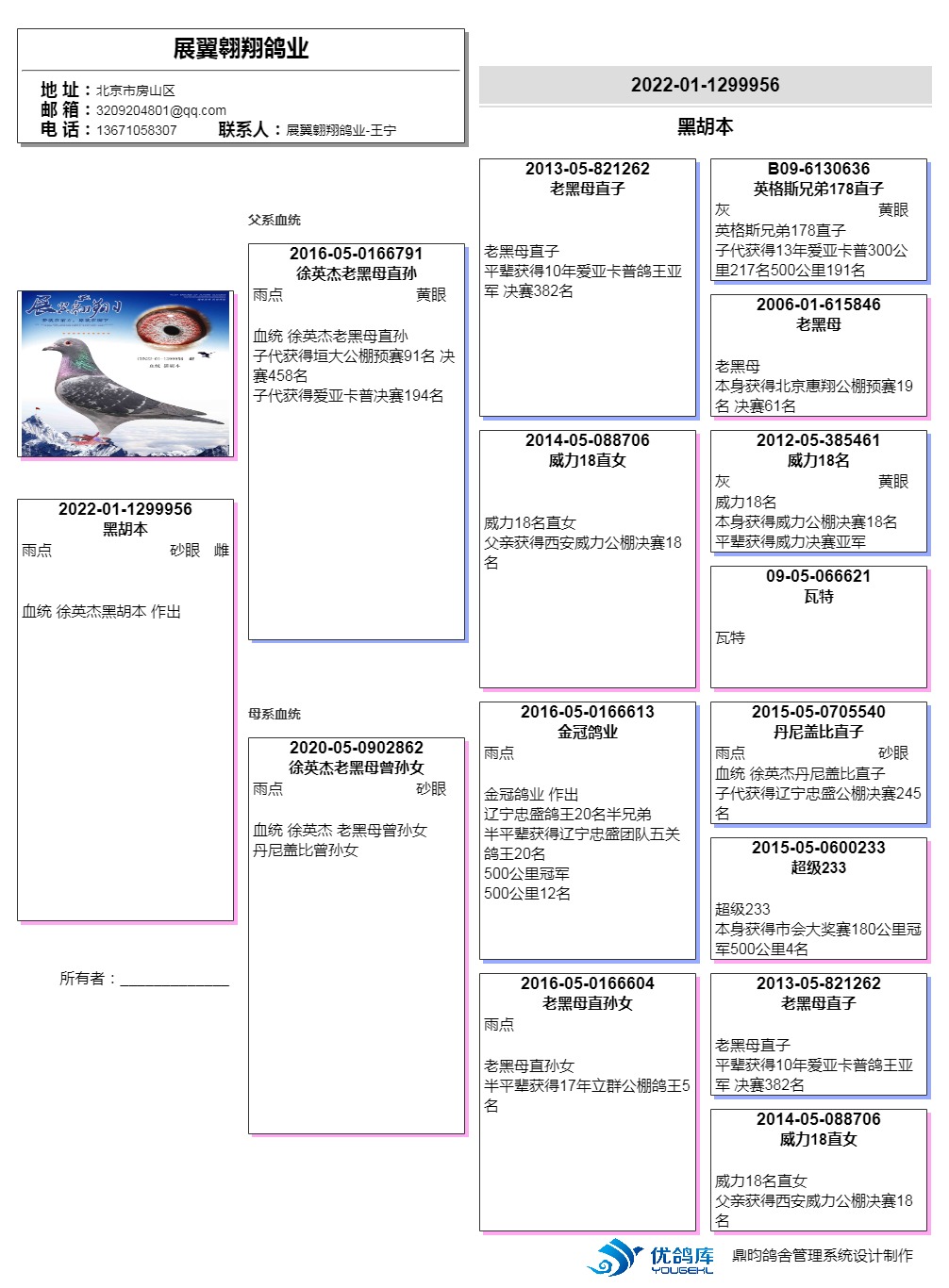 信鸽在线拍卖平台 - 中国信鸽信息网