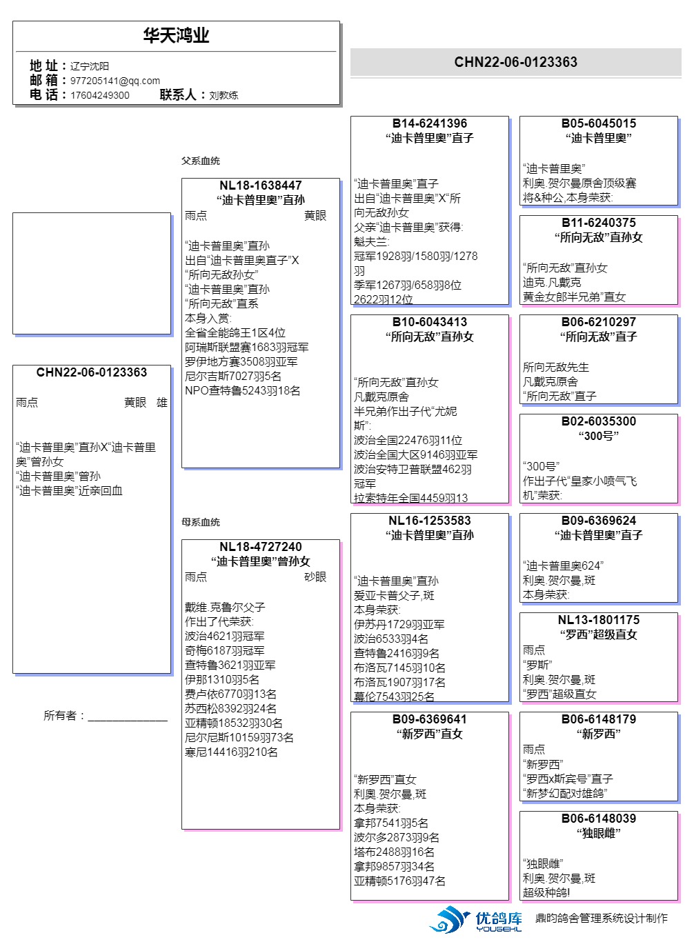 信鸽在线拍卖平台 - 中国信鸽信息网