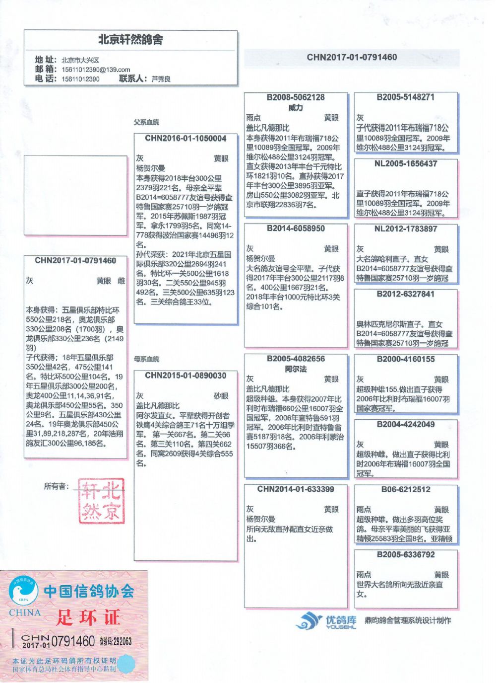 信鸽在线拍卖平台 - 中国信鸽信息网