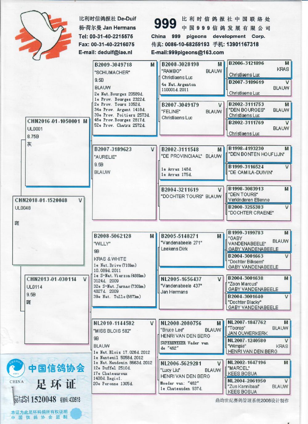 信鸽在线拍卖平台 - 中国信鸽信息网