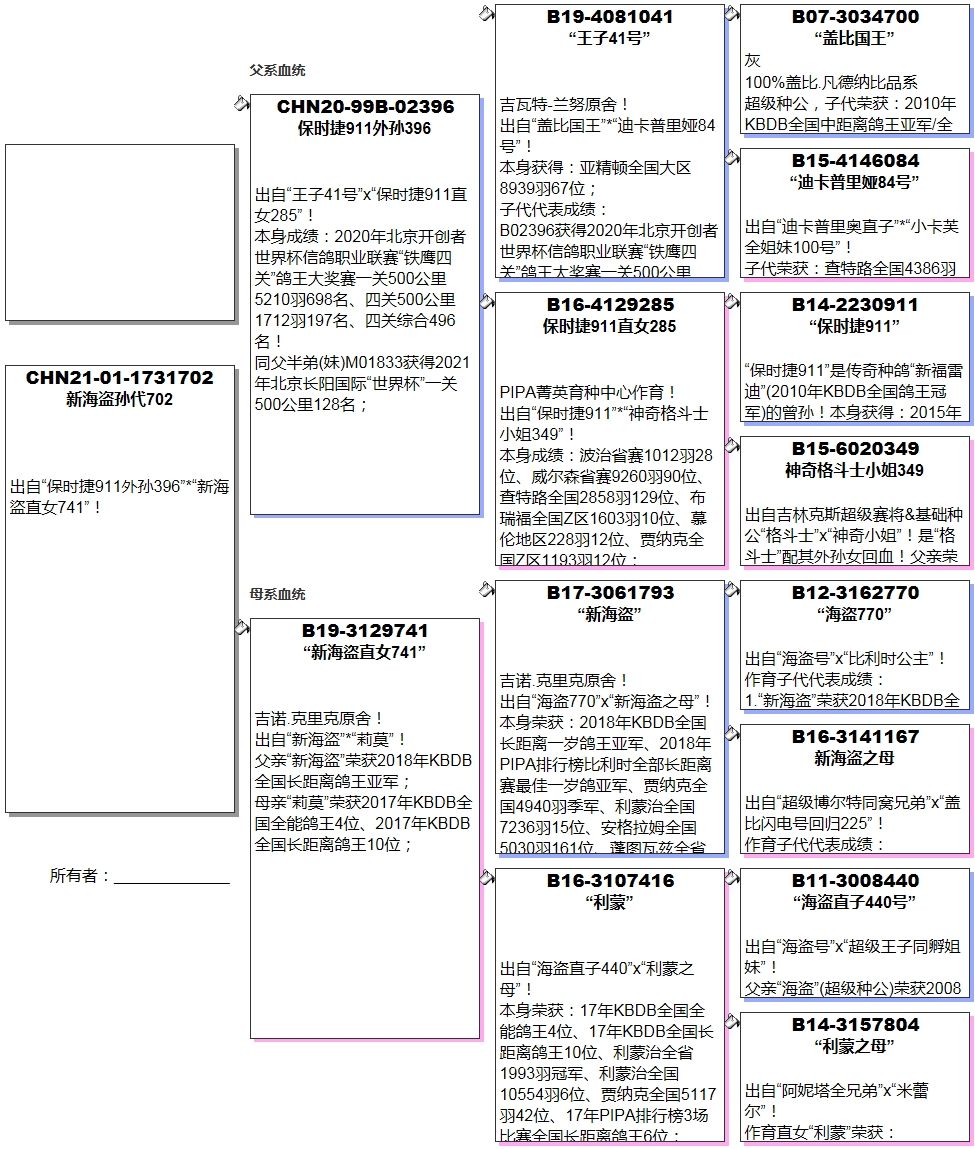 信鸽在线拍卖平台 - 中国信鸽信息网