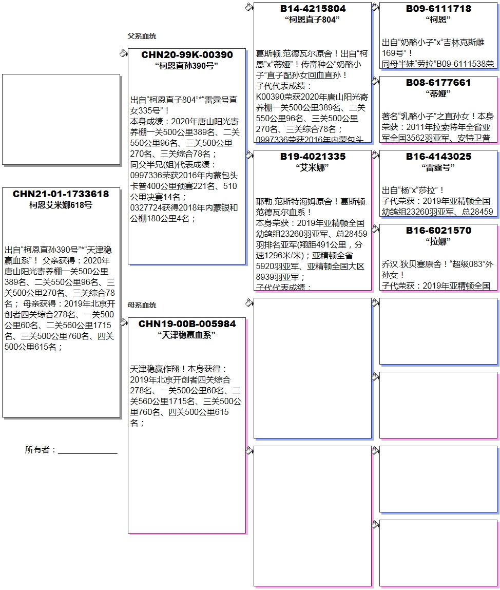 信鸽在线拍卖平台 - 中国信鸽信息网