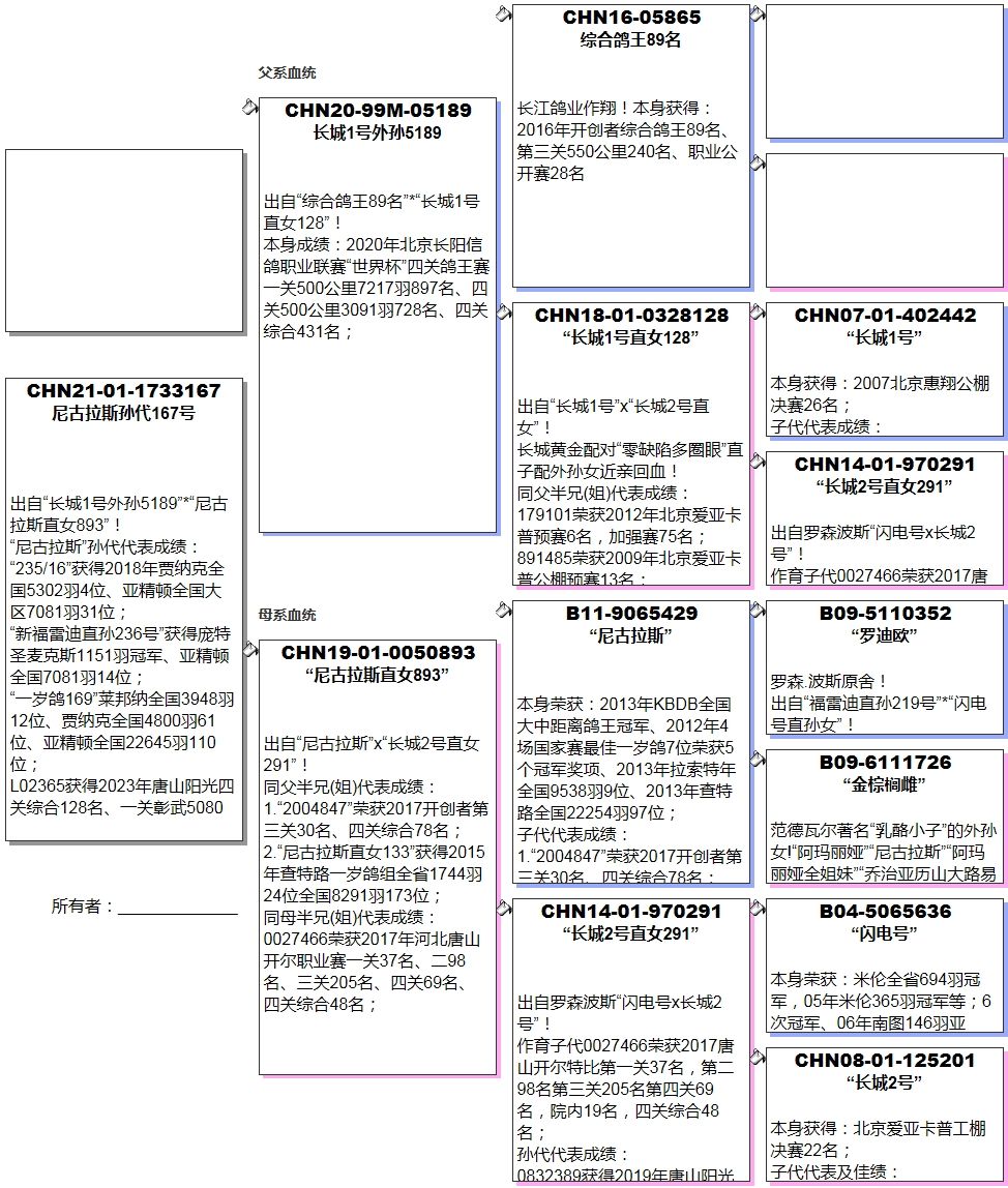信鸽在线拍卖平台 - 中国信鸽信息网