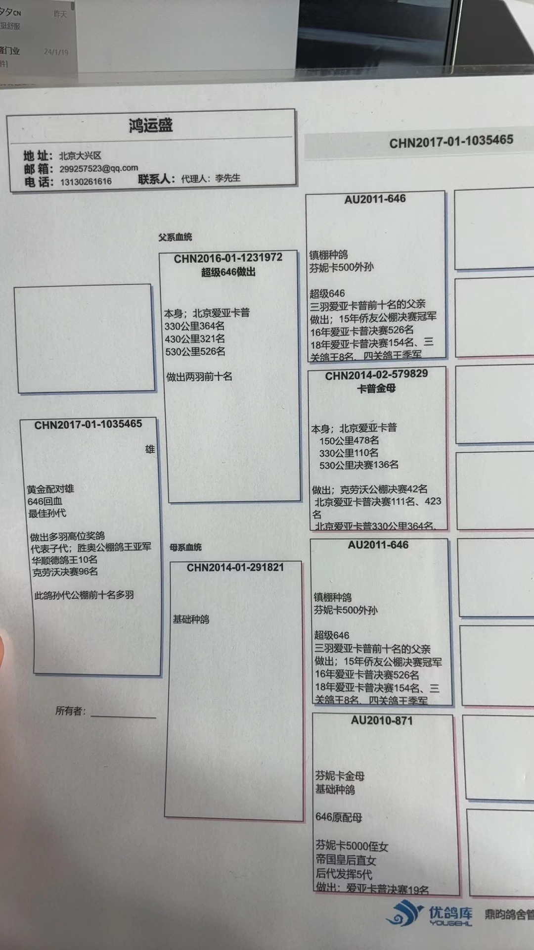 信鸽在线拍卖平台 - 中国信鸽信息网