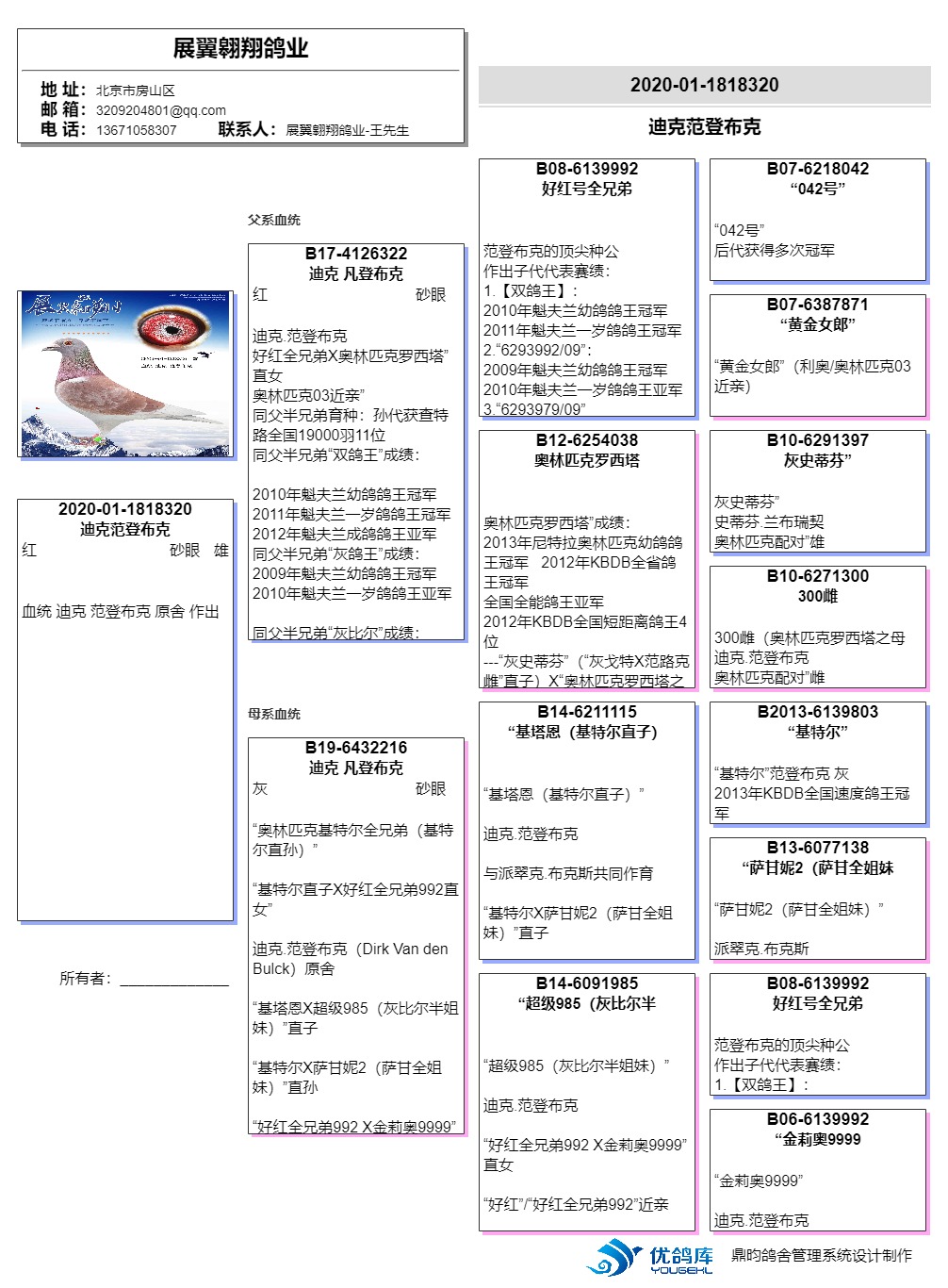 信鸽在线拍卖平台 - 中国信鸽信息网