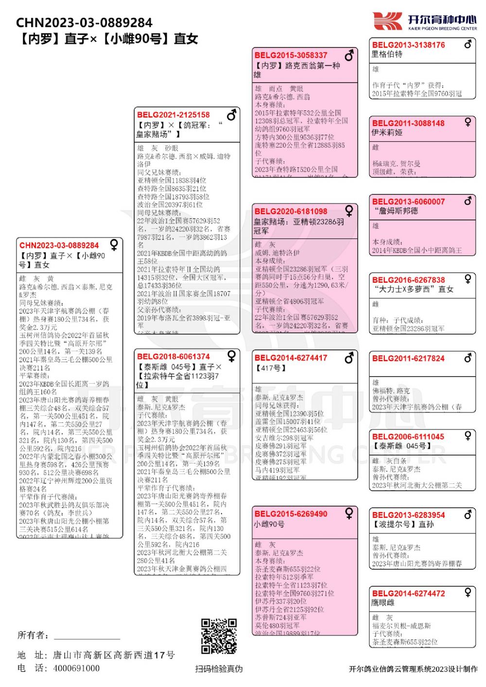 信鸽在线拍卖平台 - 中国信鸽信息网