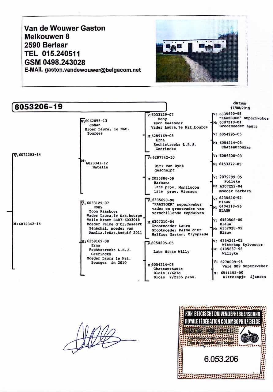 信鸽在线拍卖平台 - 中国信鸽信息网