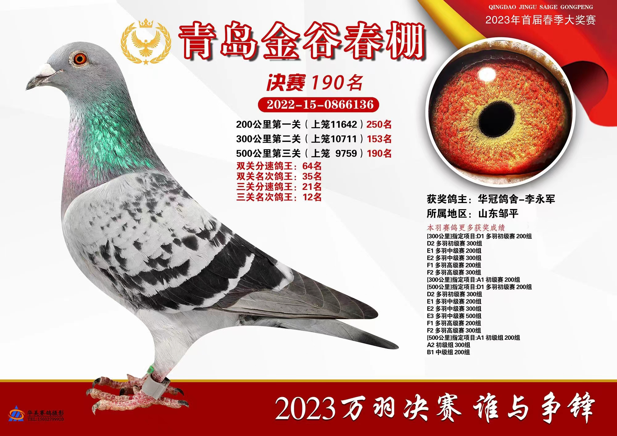 信鸽在线拍卖平台 - 中国信鸽信息网