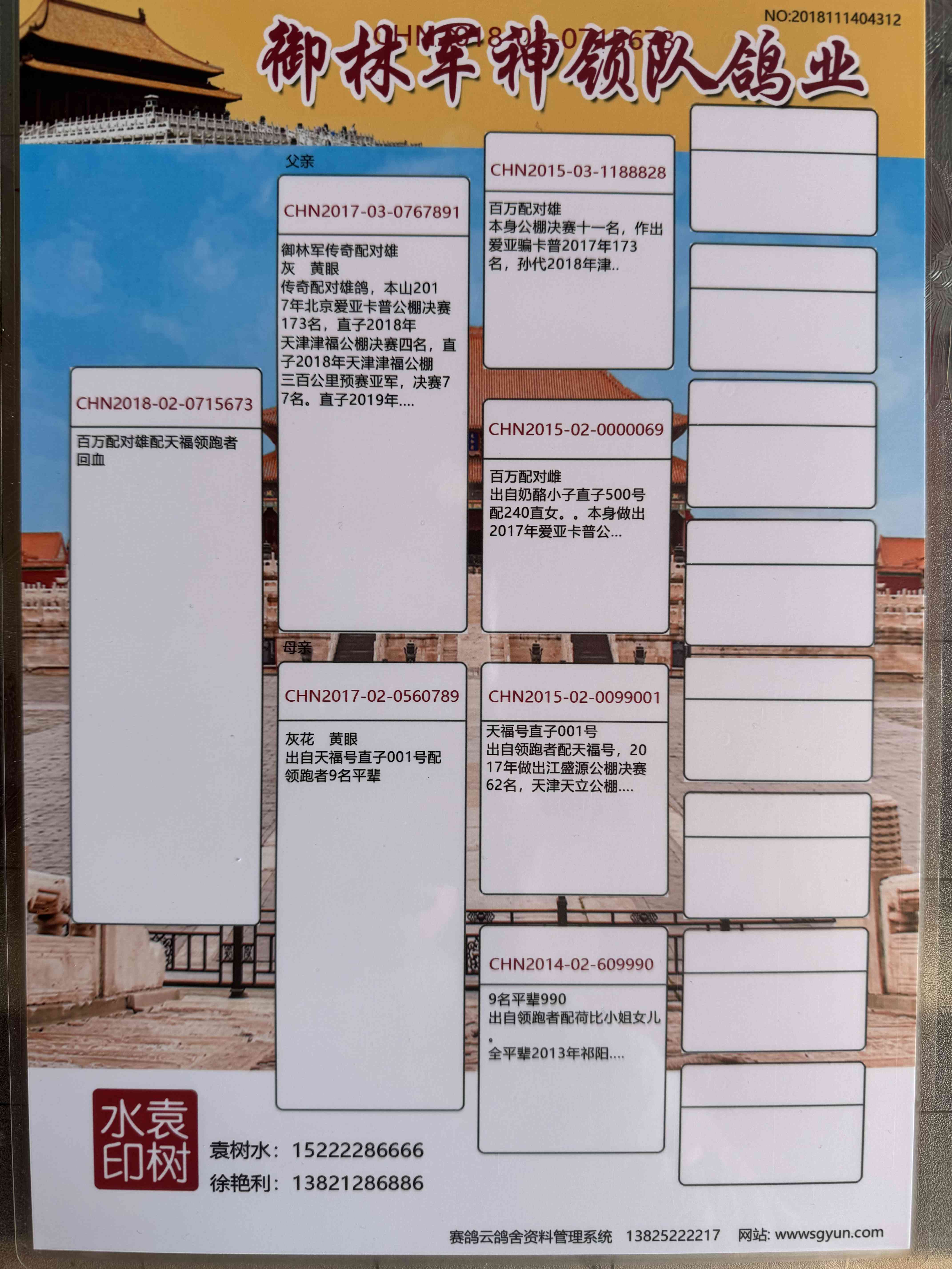 信鸽在线拍卖平台 - 中国信鸽信息网