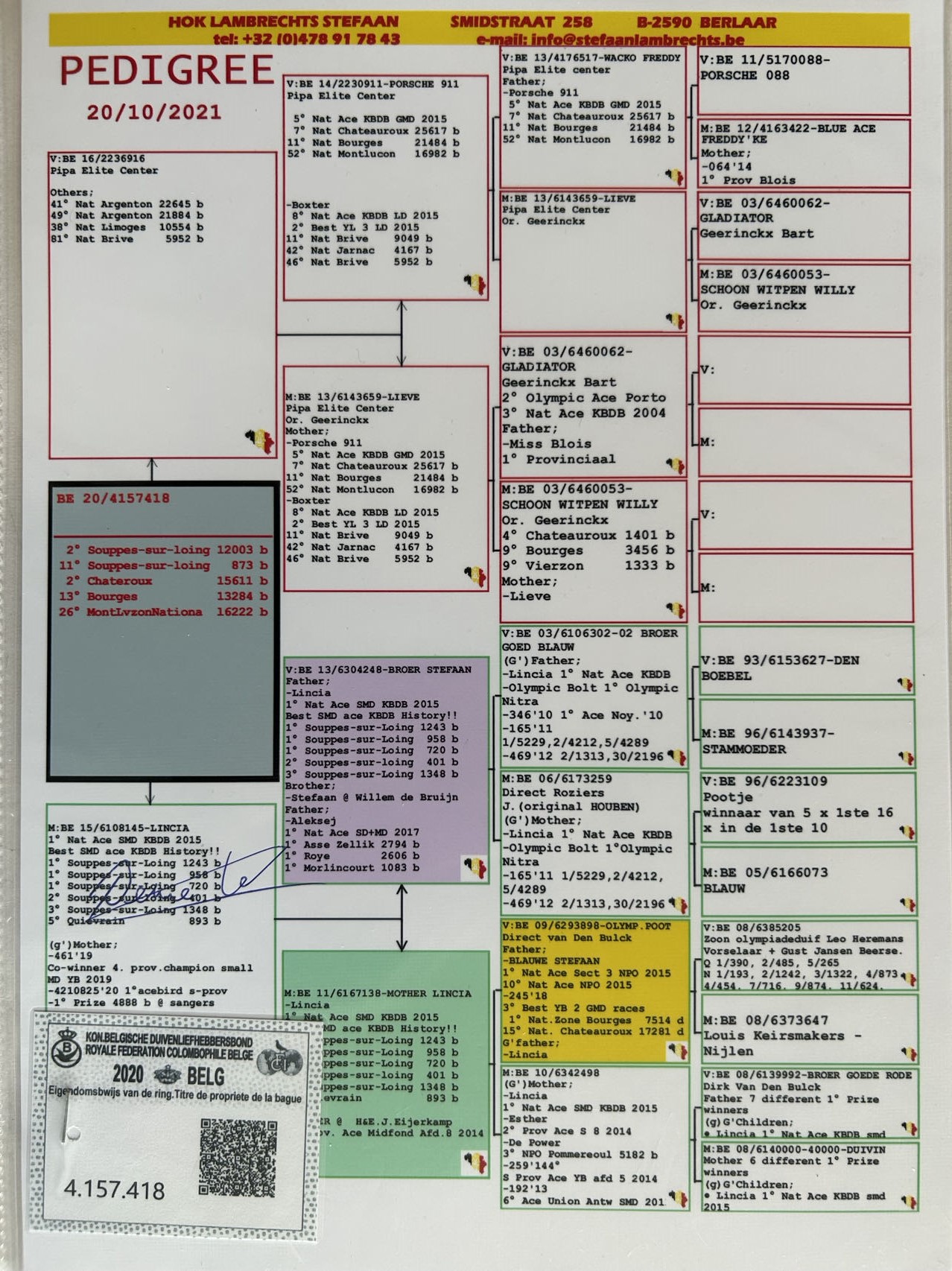 信鸽在线拍卖平台 - 中国信鸽信息网