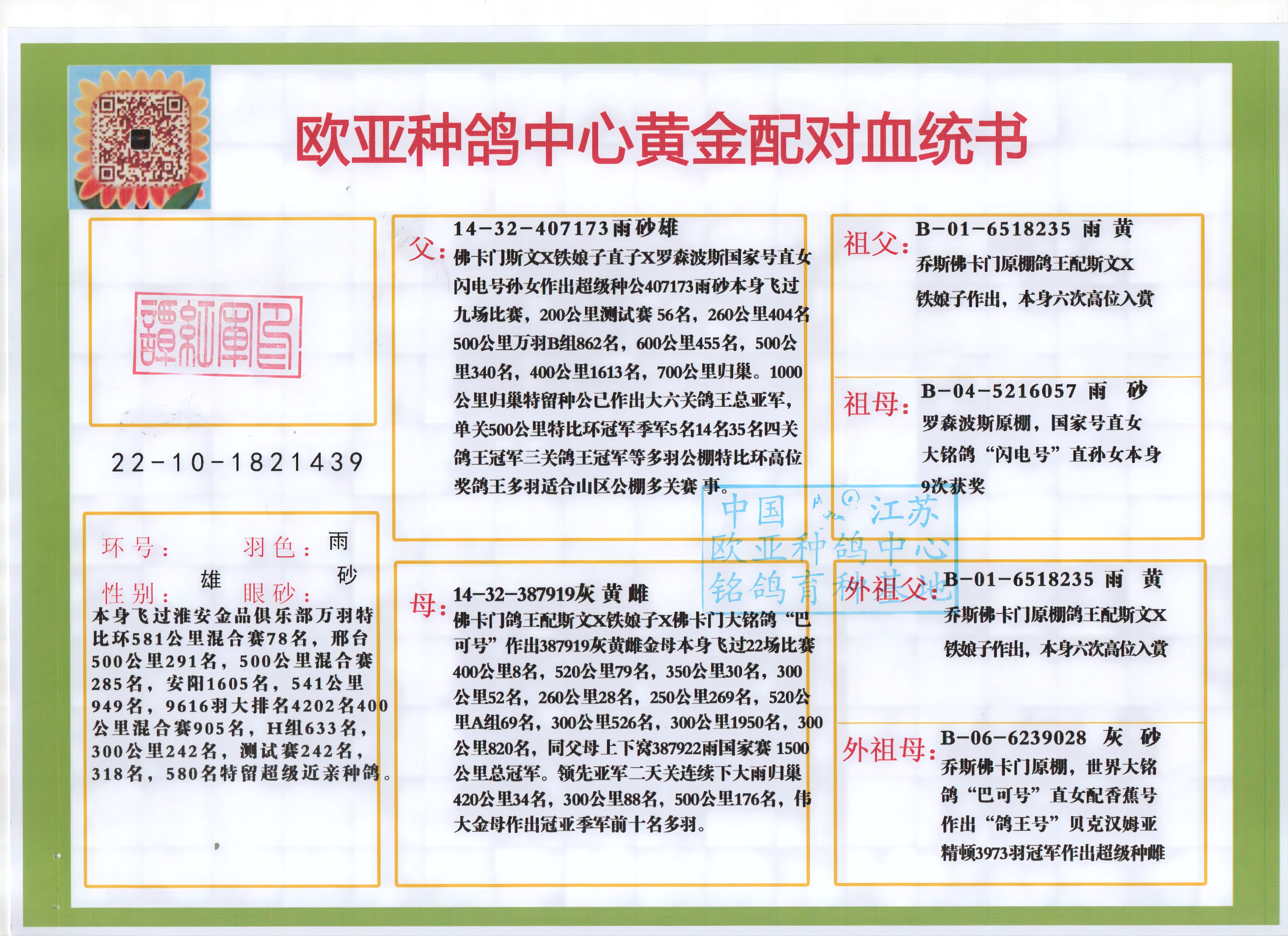 信鸽在线拍卖平台 - 中国信鸽信息网