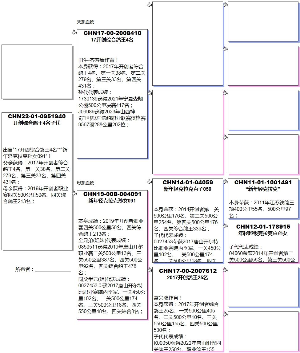 信鸽在线拍卖平台 - 中国信鸽信息网