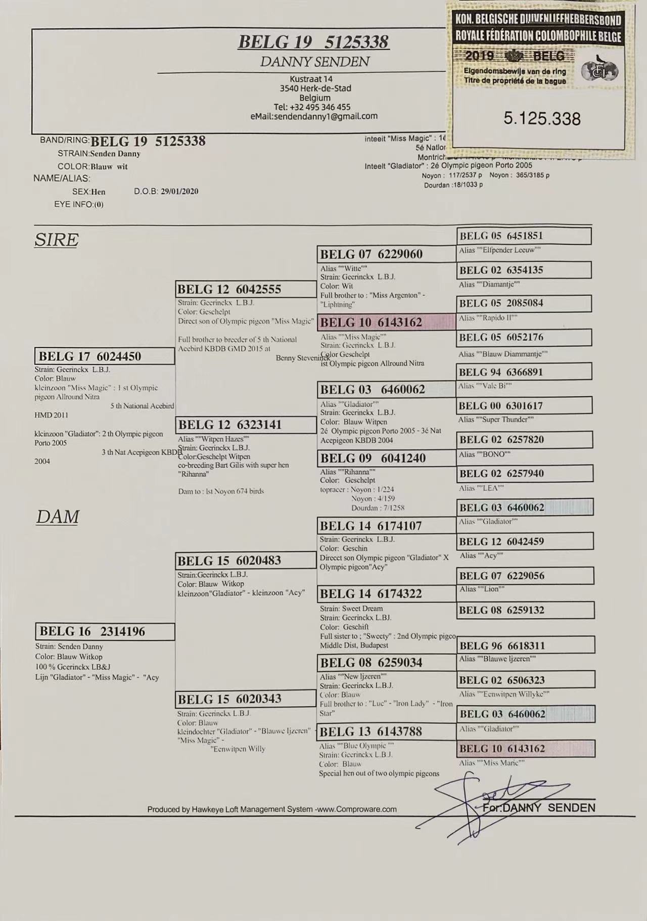 信鸽在线拍卖平台 - 中国信鸽信息网