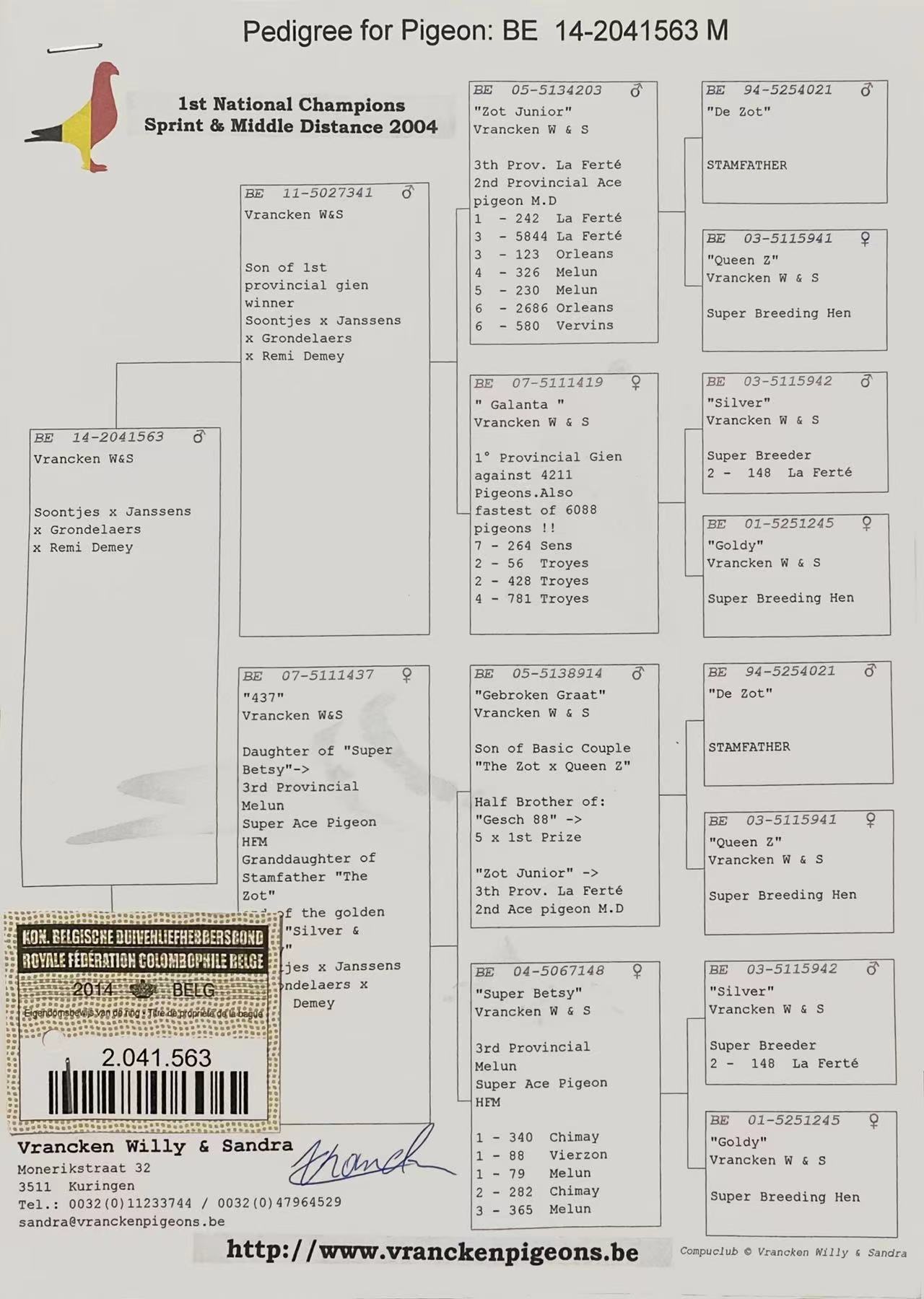 信鸽在线拍卖平台 - 中国信鸽信息网